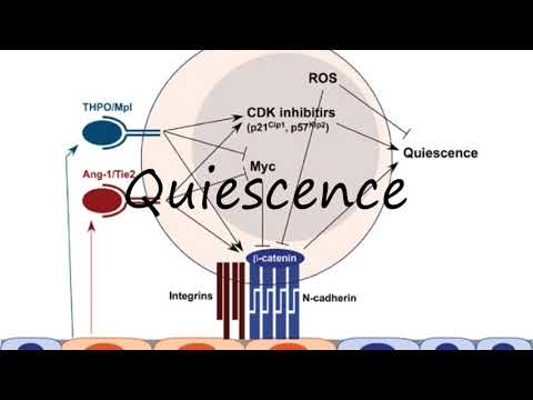 How to Pronounce Quiescence?