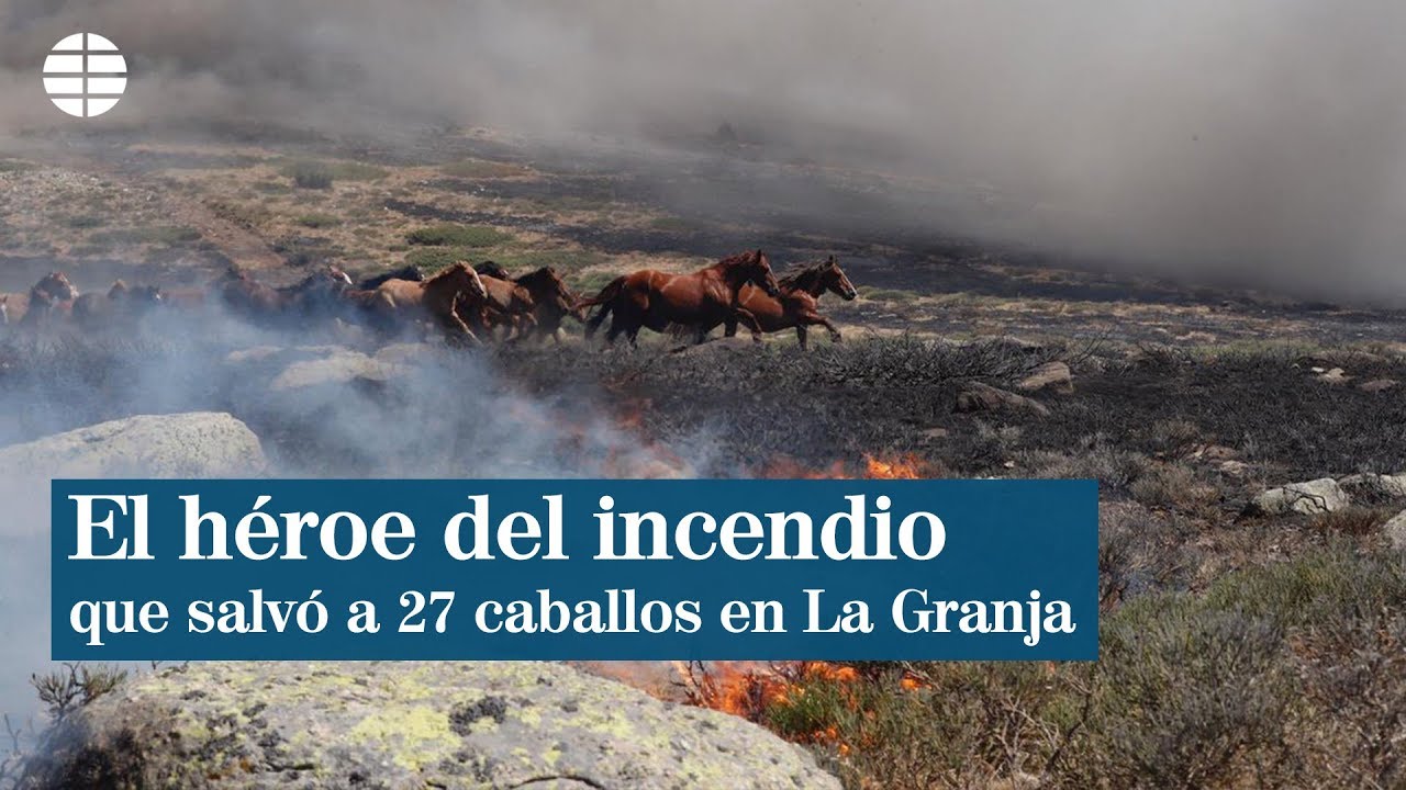 El bombero que salvó a 27 caballos de morir calcinados en La Granja