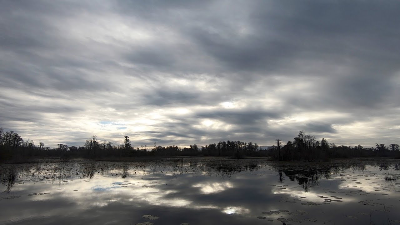 Silence and Solitude: Okefenokee National Wildlife Refuge