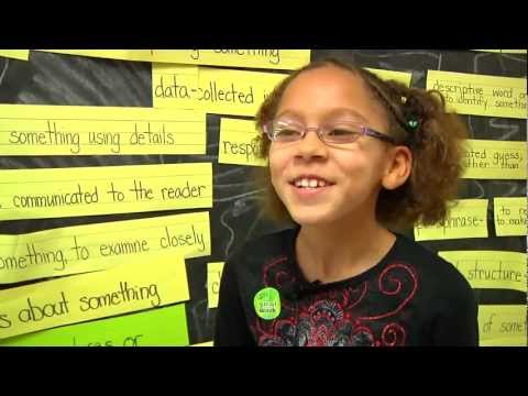 The NED Show Assembly: Positive Impact on Testing