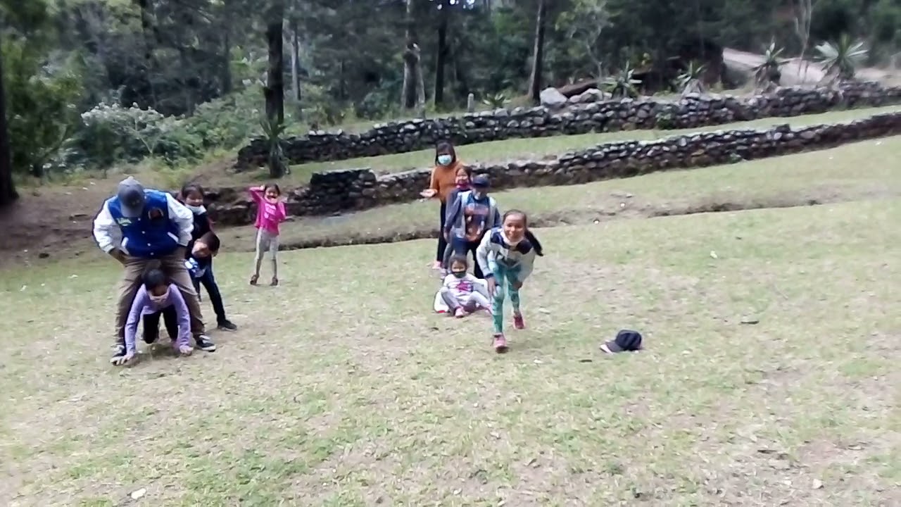 juegos en manada