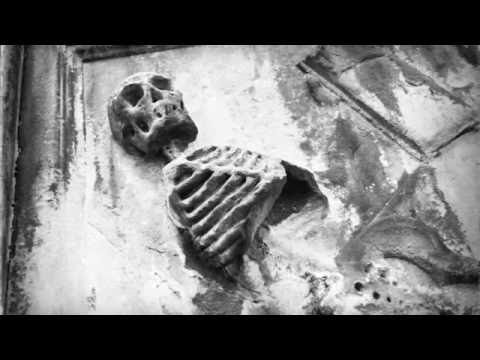 Memento Mori by Amanda Norman