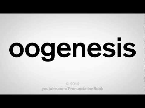 How to Pronounce Oogenesis