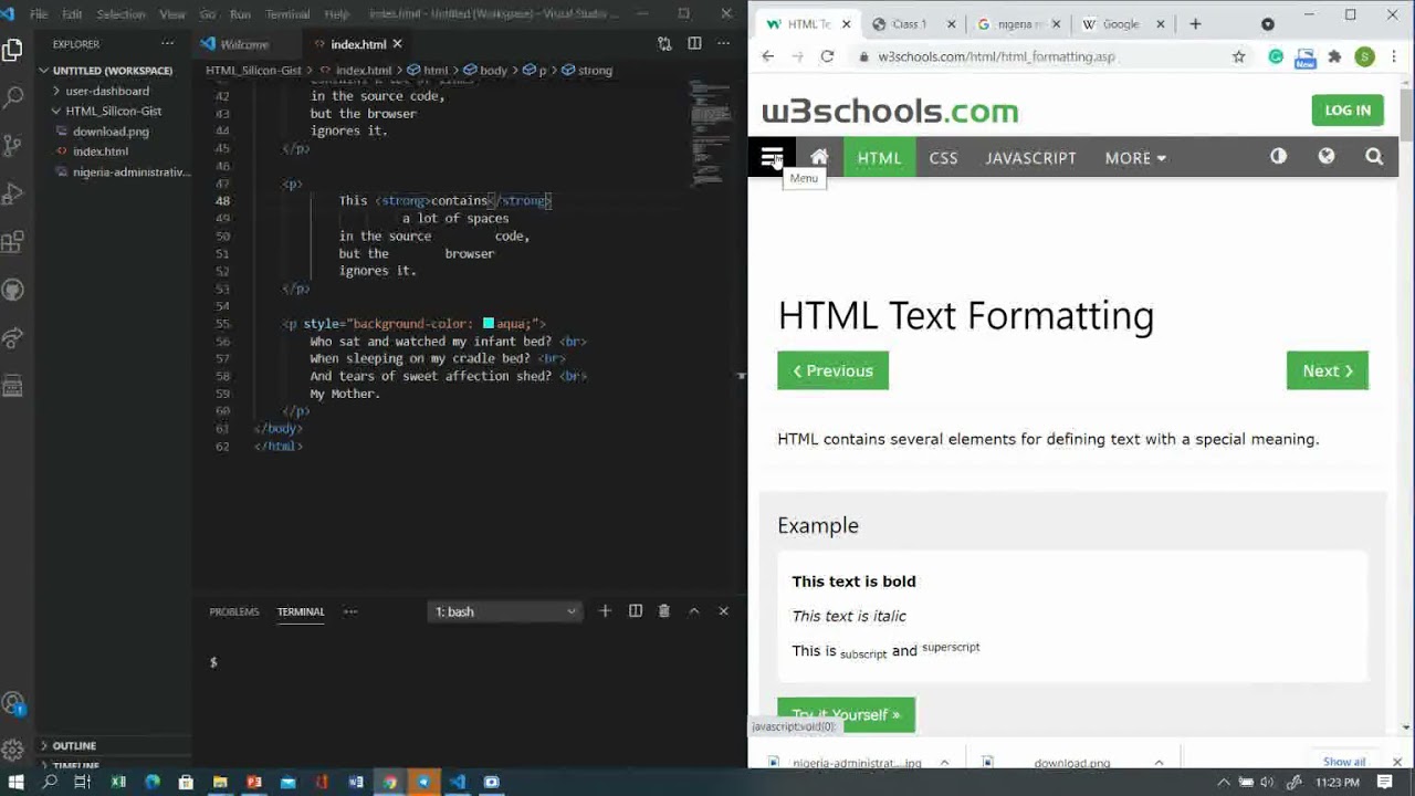 04. HTML Styles, Formatting, Quotations, and Comments