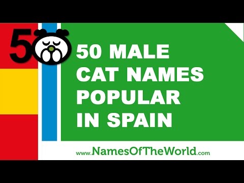 50 male cat names popular in Spain - www.namesoftheworld.net
