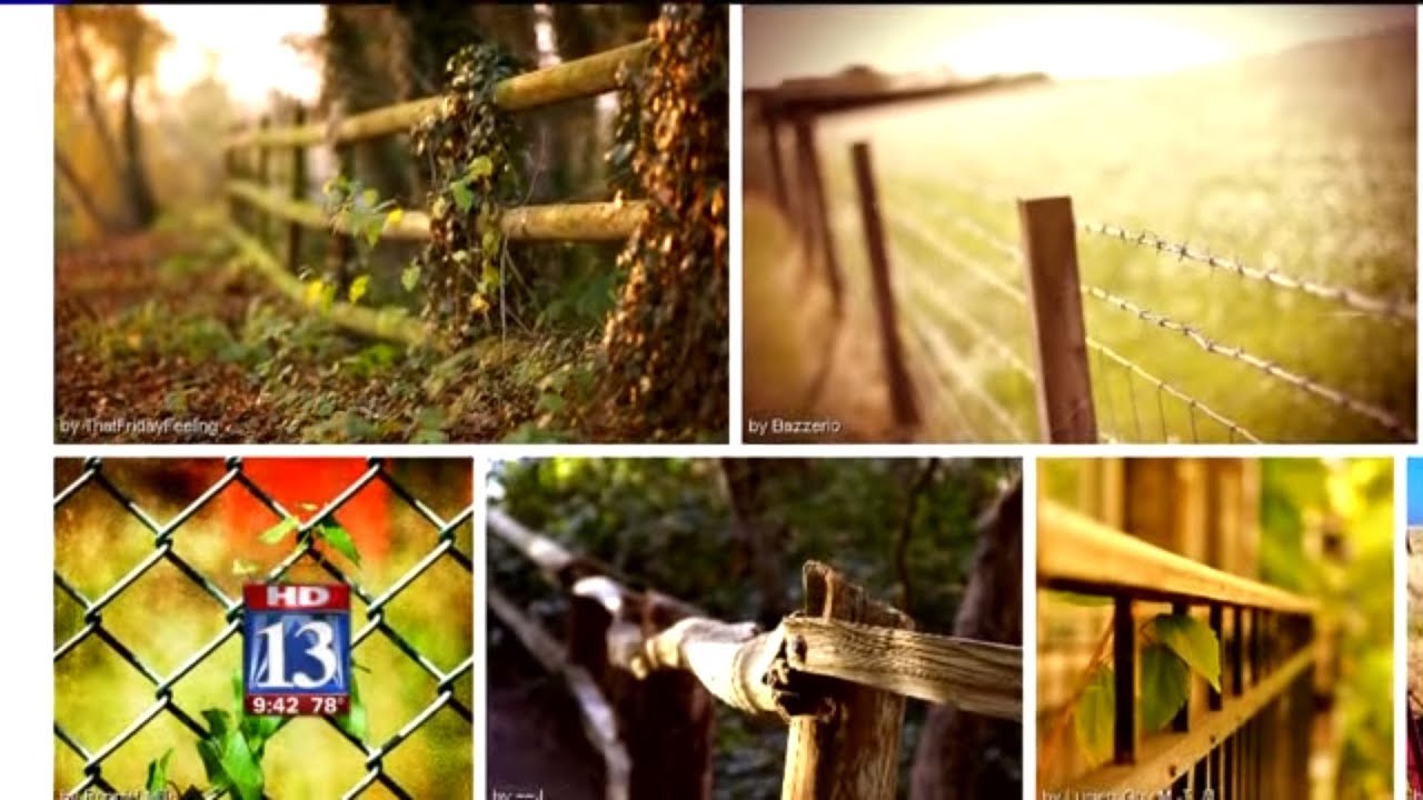 Photographers On Flickr Bond Over 'Fenced Friday' - Uniquely Utah