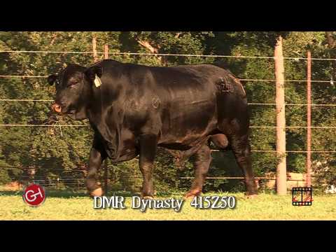 DMR Dynasty 415z50