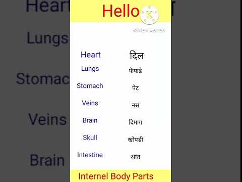 Internal Human Body Parts in English with hindi meaning | Spoken English
