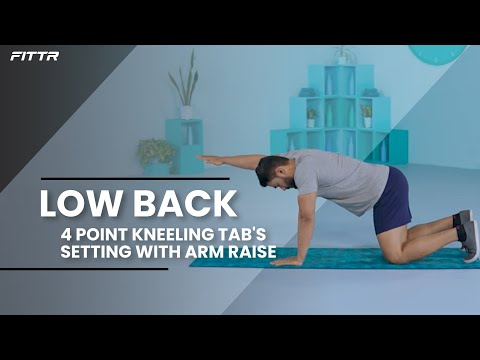 How To Do 4 Point Kneeling TAB's Setting with Arm Raise | Exercise Video