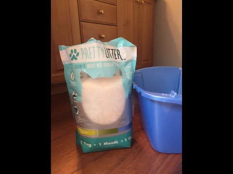 Smart Kitty Litter that Monitors your Cat’s Health: Pretty Litter Review