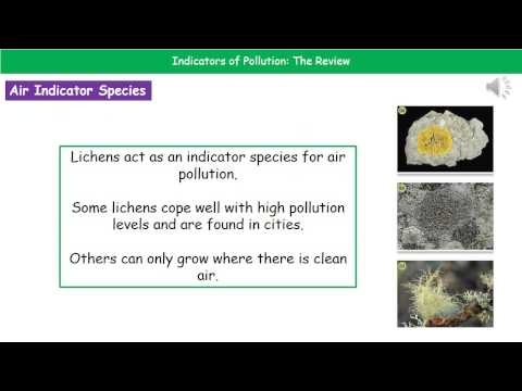 B2 15 Indicators of Pollution Higher Tier Summary