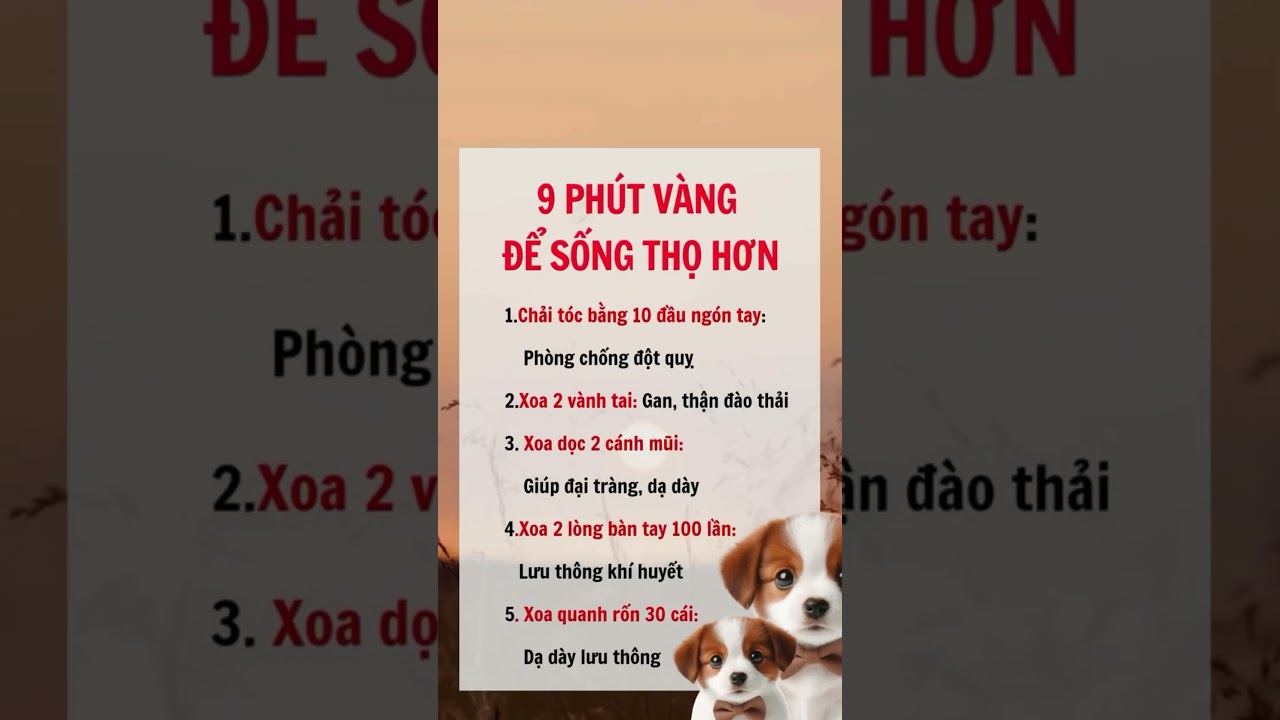 9 phút vàng để SỐNG THỌ hơn/Đặng Kim Toàn