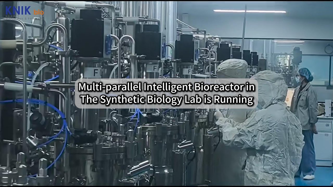 Multi-parallel Intelligent Bioreactor in The Synthetic Biology Lab is Running | KNIKbio