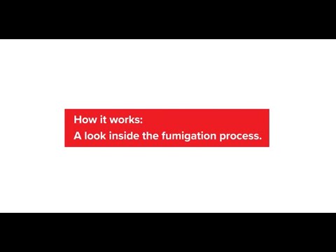 The fumigation process: Tackling termite troubles | Rentokil