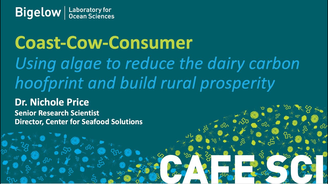 Café Sci - Coast-Cow-Consumer: Using Algae to Reduce the Carbon Hoofprint and Build Rural Prosperity