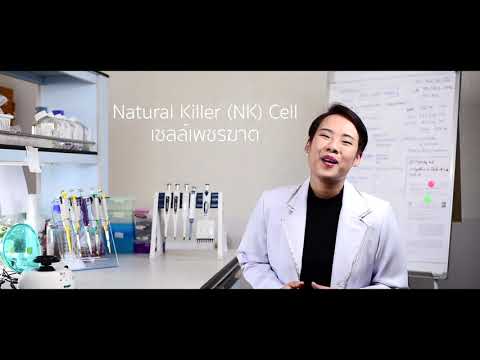 SCI Research Exhibition : Bioresources08 NK cell