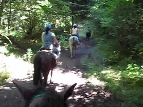 Sea to Sky Stables - Horseback Riding