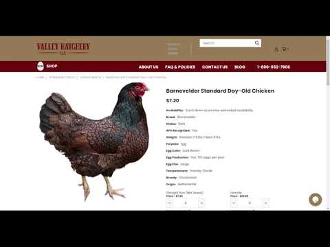 Valley Hatchery - Buying Chicks Online
