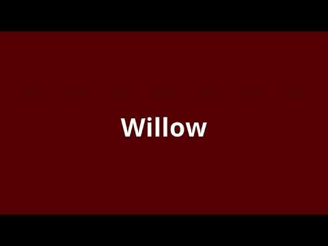 what is the meaning of Willow