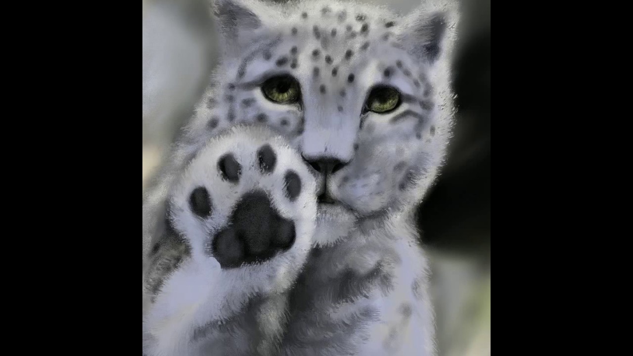 Procreate time lapse - snow leopard