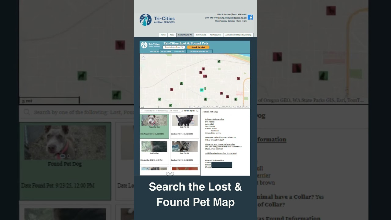 Tri-Cities Animal Services New Online Options #tricitieswa #tricitieswashington #animalshelter