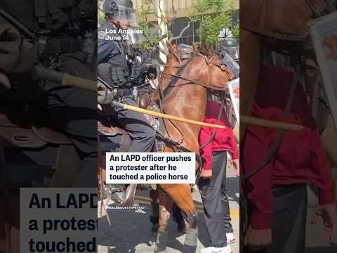 An LAPD officer pushes a protester after he touched a police horse