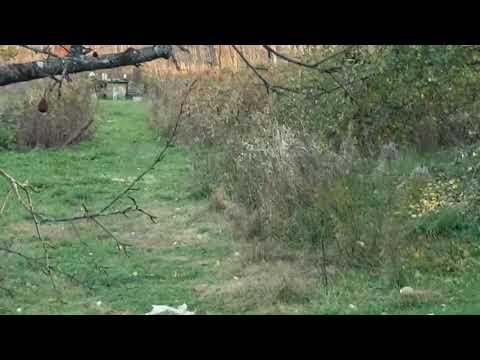 Tannerite White Lightning Rimfire Exploding Target 12PK