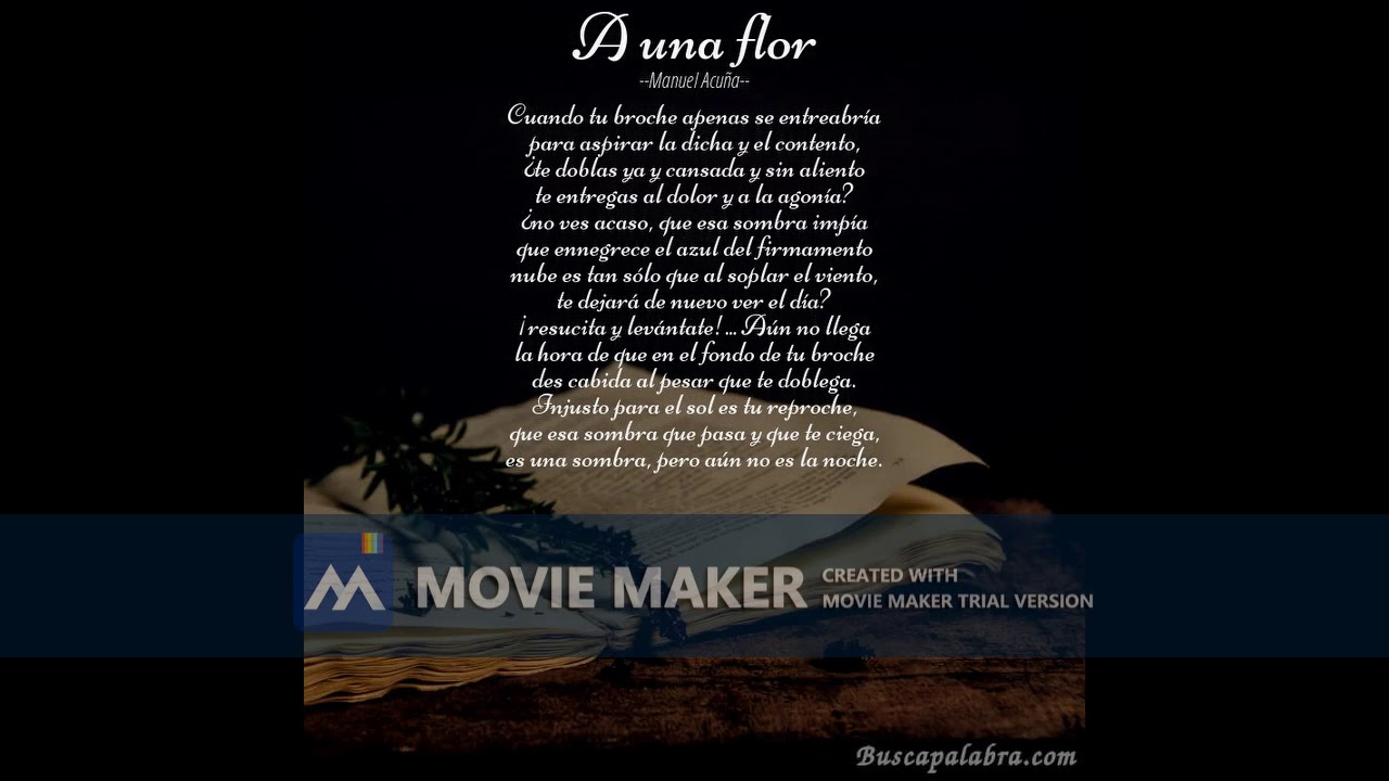A una Flor (Manuel Acuña)