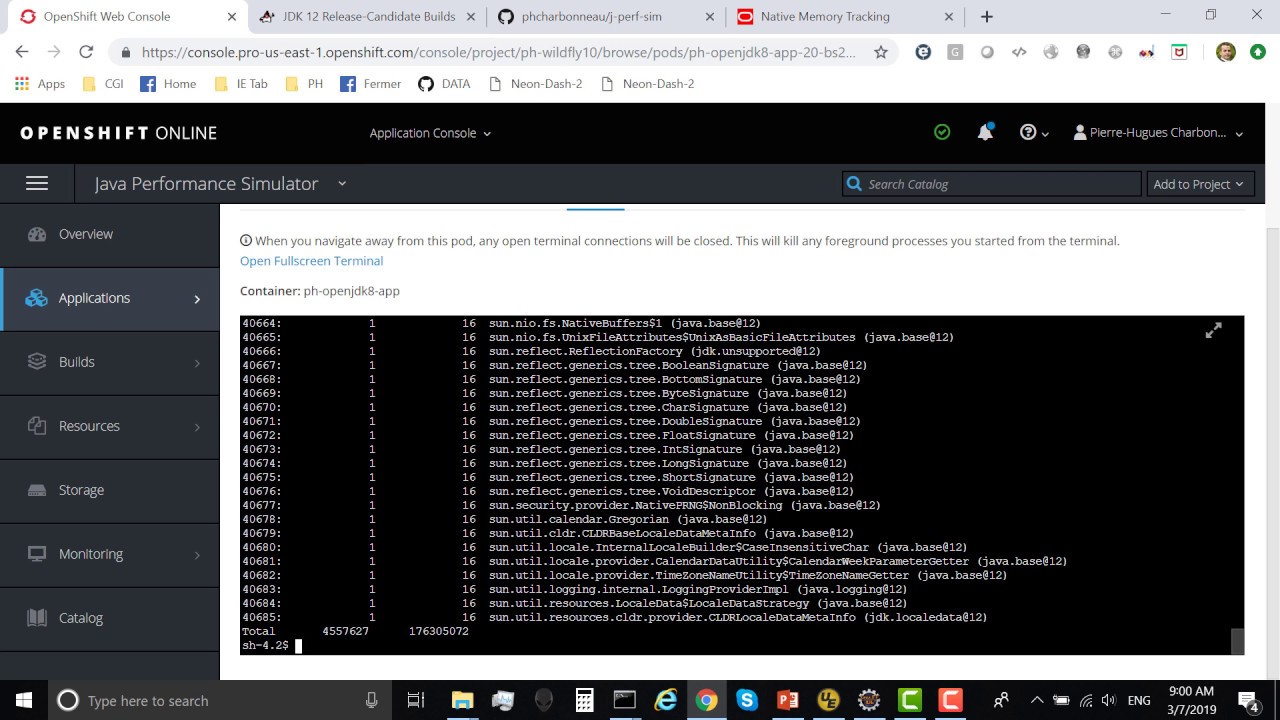 Java 12 Native Memory - Troubleshooting Guide