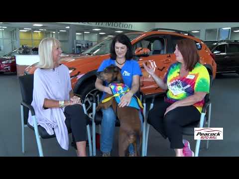GIRL TALK | Amy Campanini & Jill Jauch: Subiestock | WHHITV