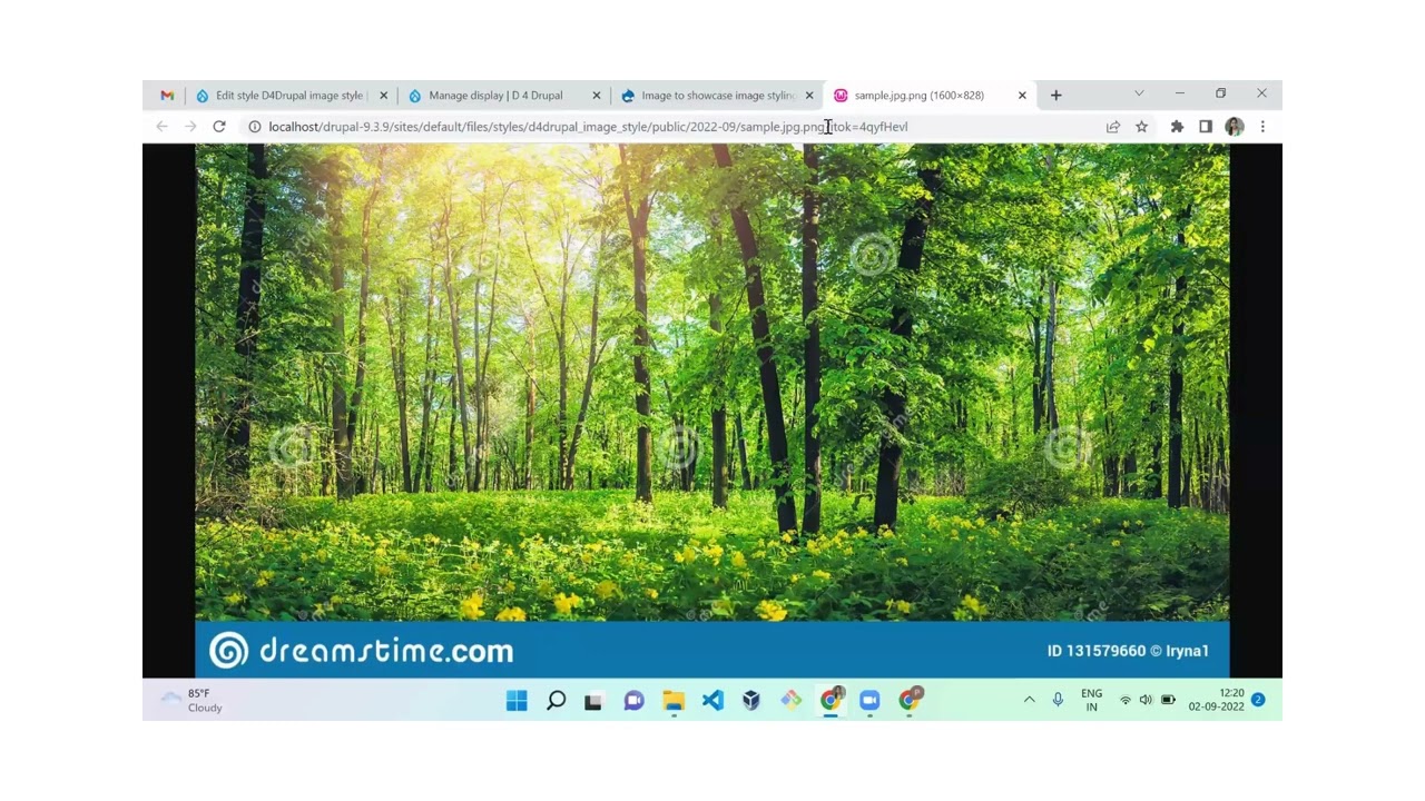 Image styling in Drupal 9