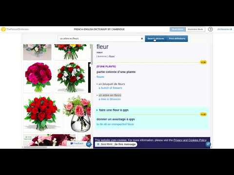 Cambridge Picture Dictionary - French-English. How to learn new words in French effectively?