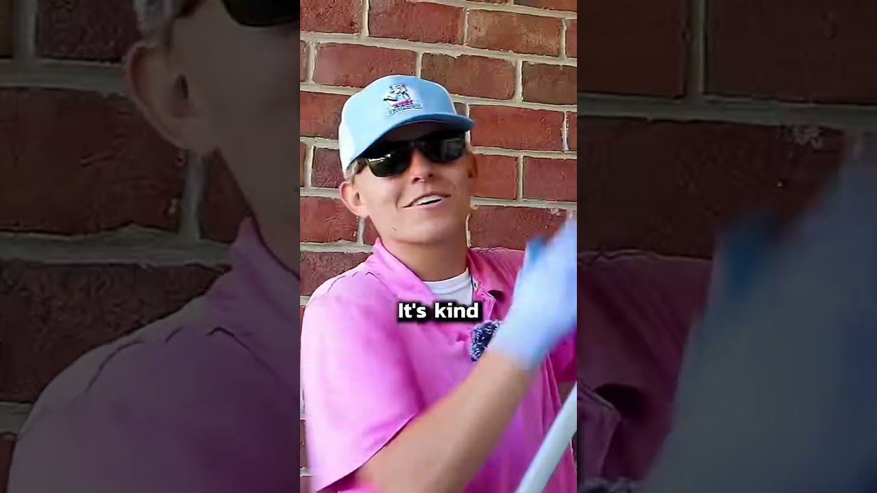 How To Prevent Wasp Nests on House