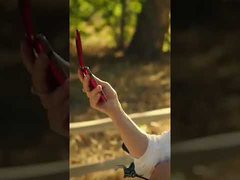 Top 5 Senior Citizen Phones 2023 #shorts
