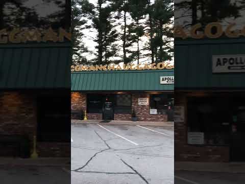 Lake Chargoggagoggmanchauggagoggchaubunagungamaugg (Webster Lake) #shorts #massachusetts