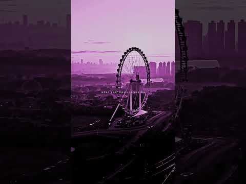 Camila Cabello and Shawn Mendes - Señorita Song lyrics #aesthetic #music #lyrics