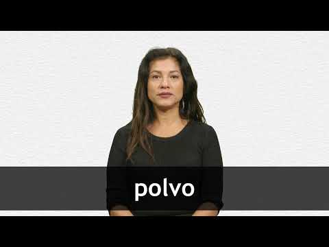 English Translation of “POLVO” | Collins Spanish-English Dictionary