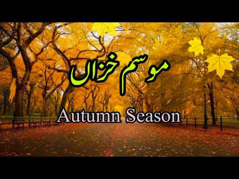 Urdu essay on autumn season ||خزاں کا موسم|| autumn season || my favourite season || mazmoon