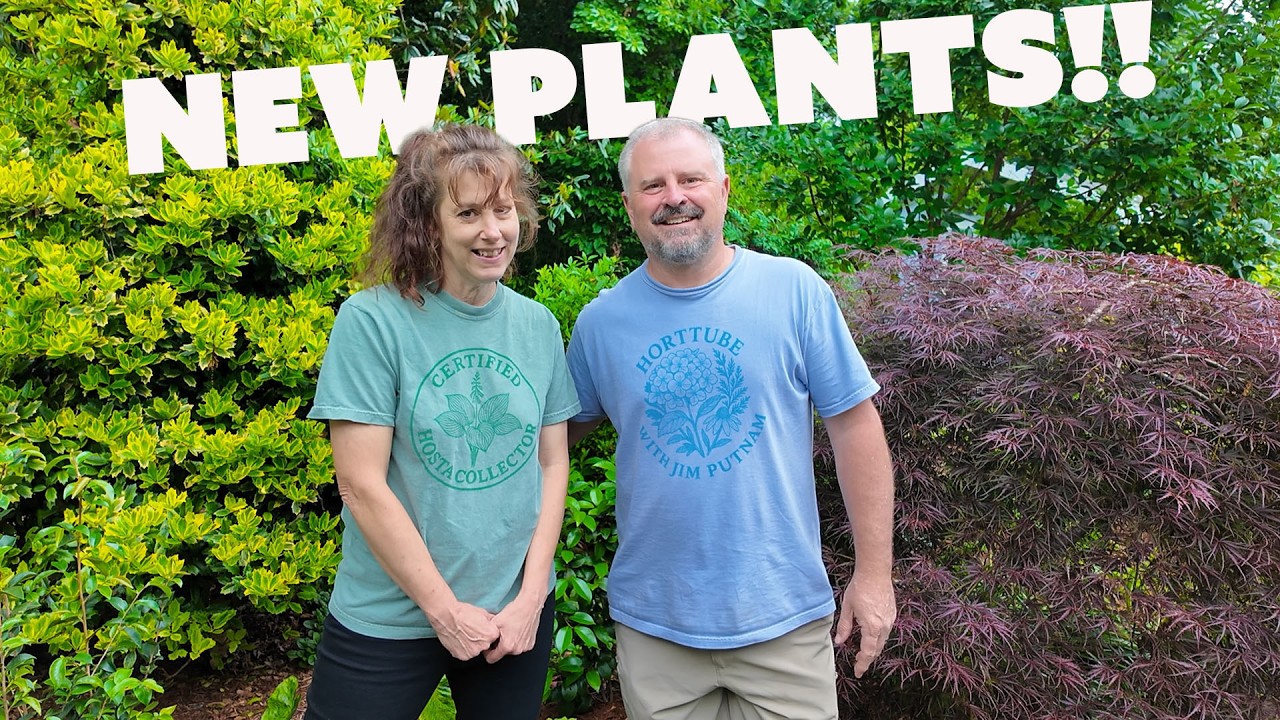 We're Adding Exciting New Plants to the Backyard Garden
