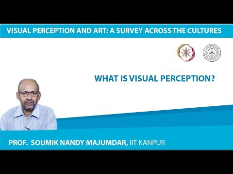What is Visual Perception?