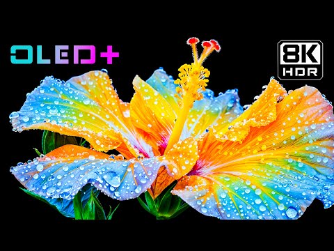 BEST OLED TEST – Heavenly Blossoms Flower in 8K HDR | Dolby Vision™