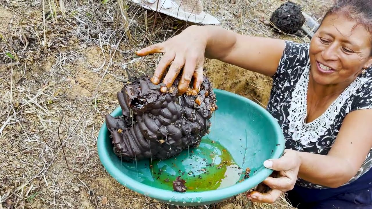 DID THEY KNOW THERE IS HONEY UNDERGROUND?
