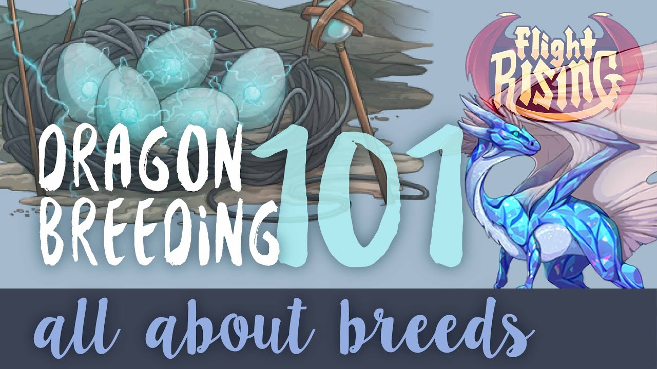 Flight Rising Breeding 101: Breeds