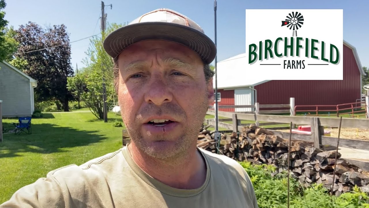 Spring Lambing on Pasture & Stockpile Field Update
