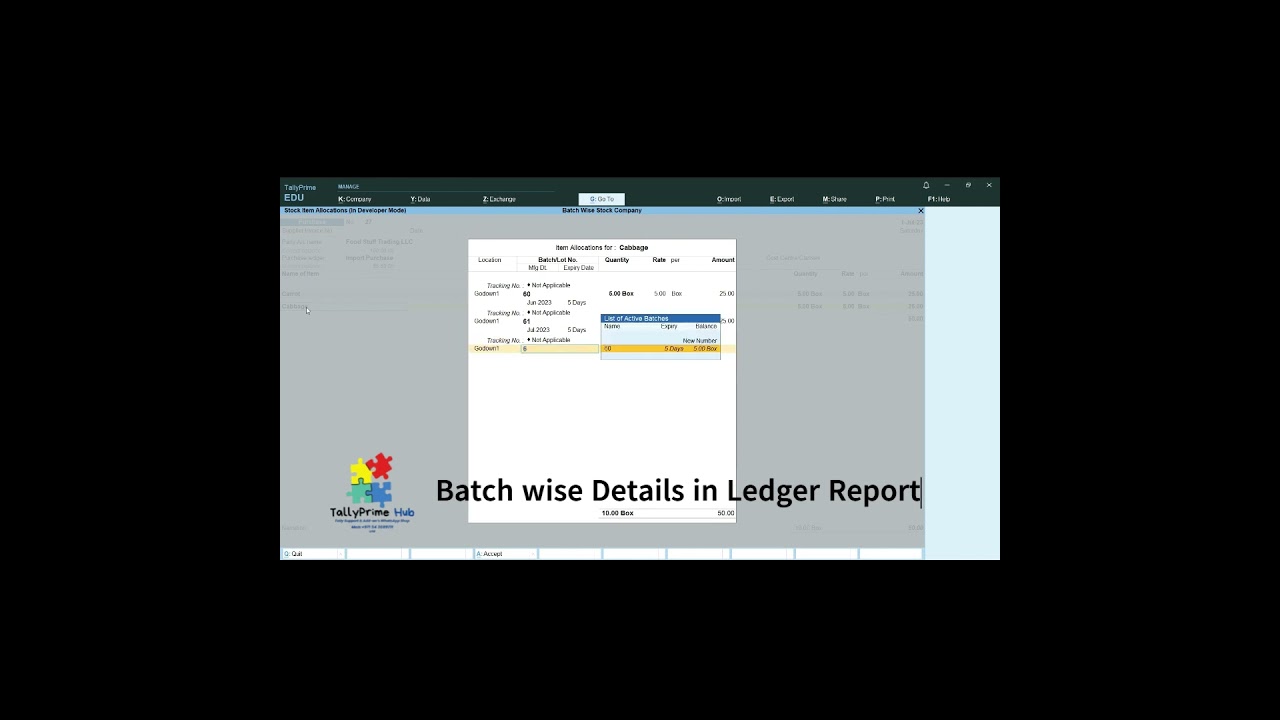 Batch Details In Ledger Report #tallyprimetipsandtricks