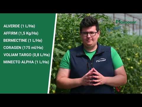 Bermectine 1L - 100ron