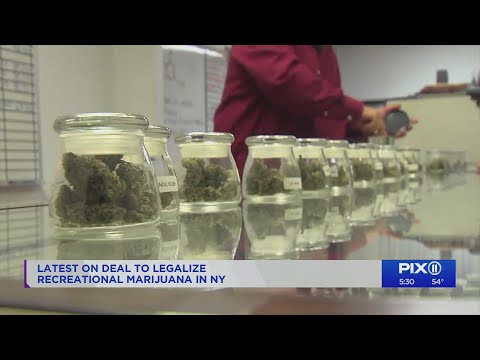 Criminal justice advocates applaud NYS marijuana bill