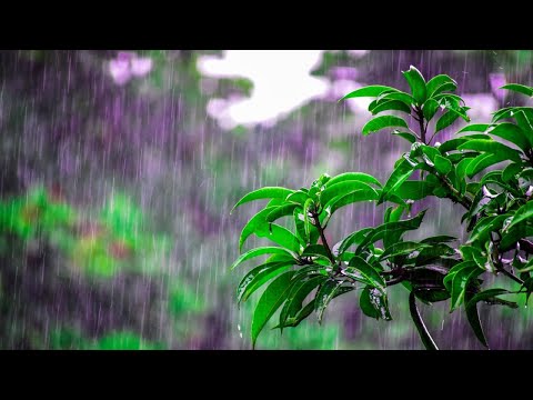 15 RAIN IDIOMS ☔ WITH MEANING, EXAMPLES AND QUIZ || IMPROVE YOUR COMMAND OF ENGLISH