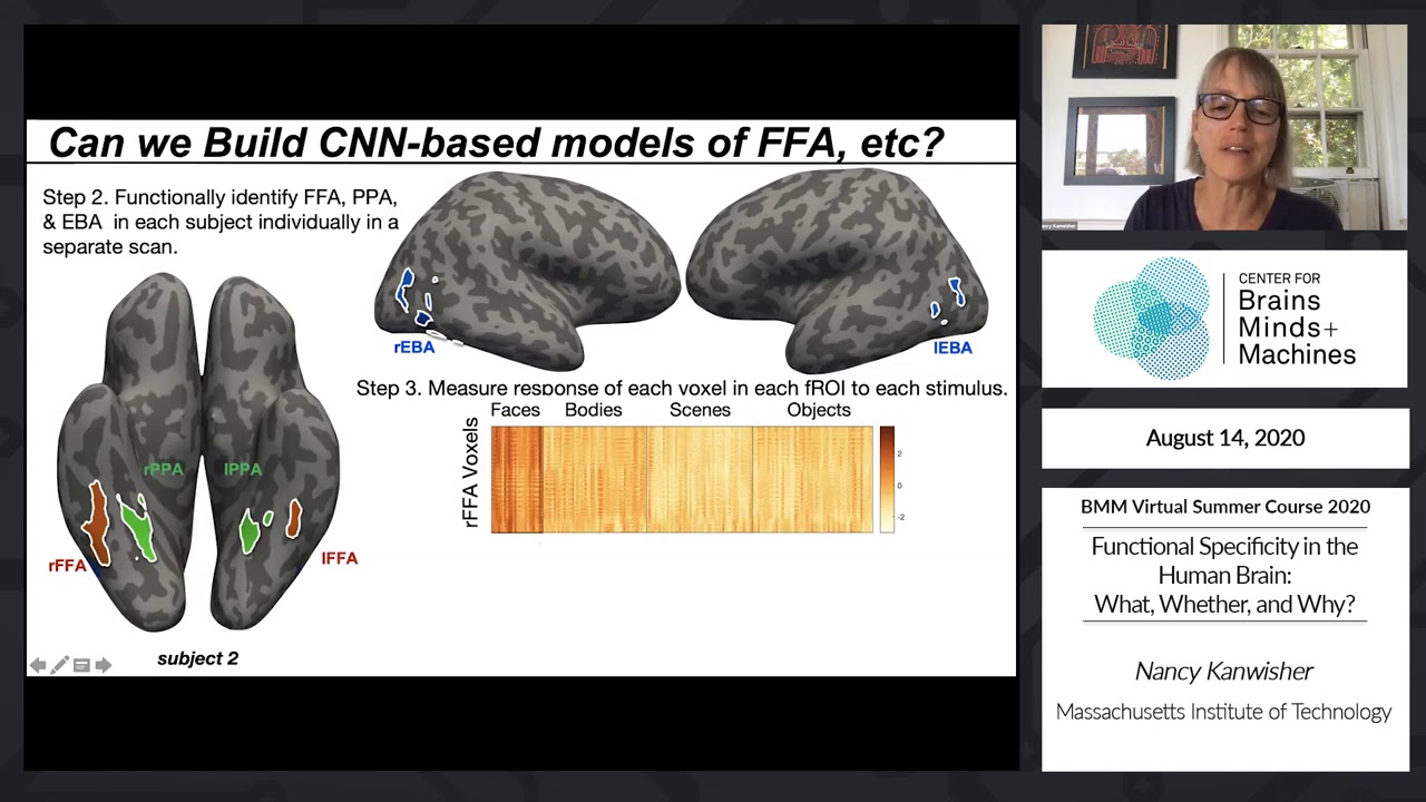 Functional Specificity in the Human Brain: What, Whether, and Why?