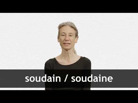 English Translation of “SOUDAIN” | Collins French-English Dictionary